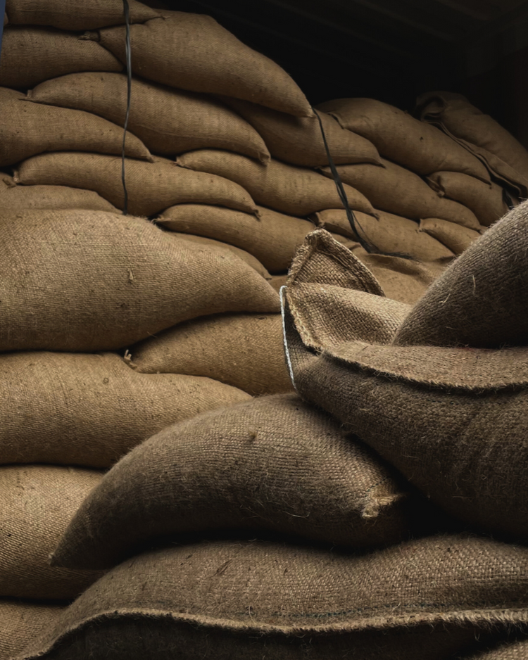 PYROAST, pick your roast